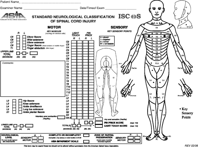La Escala ASIA de Lesiones Medulares - American Spinal Injury ...